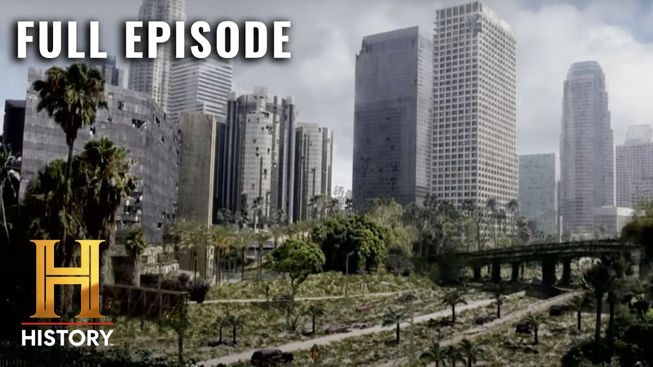 New! In The *Life After People" Series: A New Documentary - Movies, TV ...