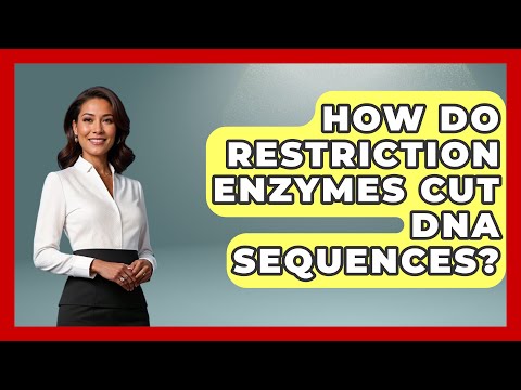 How Do Restriction Enzymes Cut DNA Sequences? - Biology For Everyone