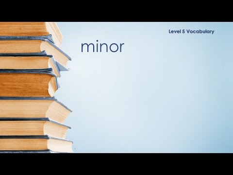 Level 5 Vocabulary - Minor - Definition \ Meaning