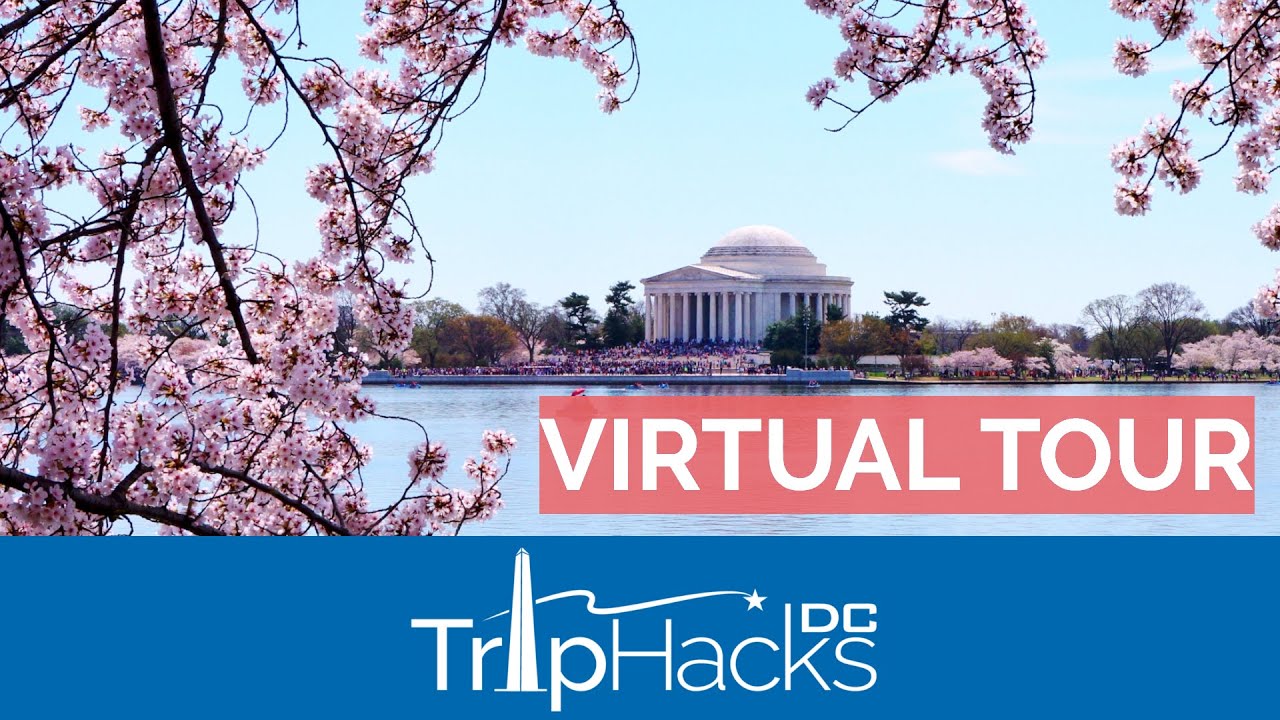 Washington DC Cherry Blossom 2022 Virtual Tour 🌸 4K Narrated