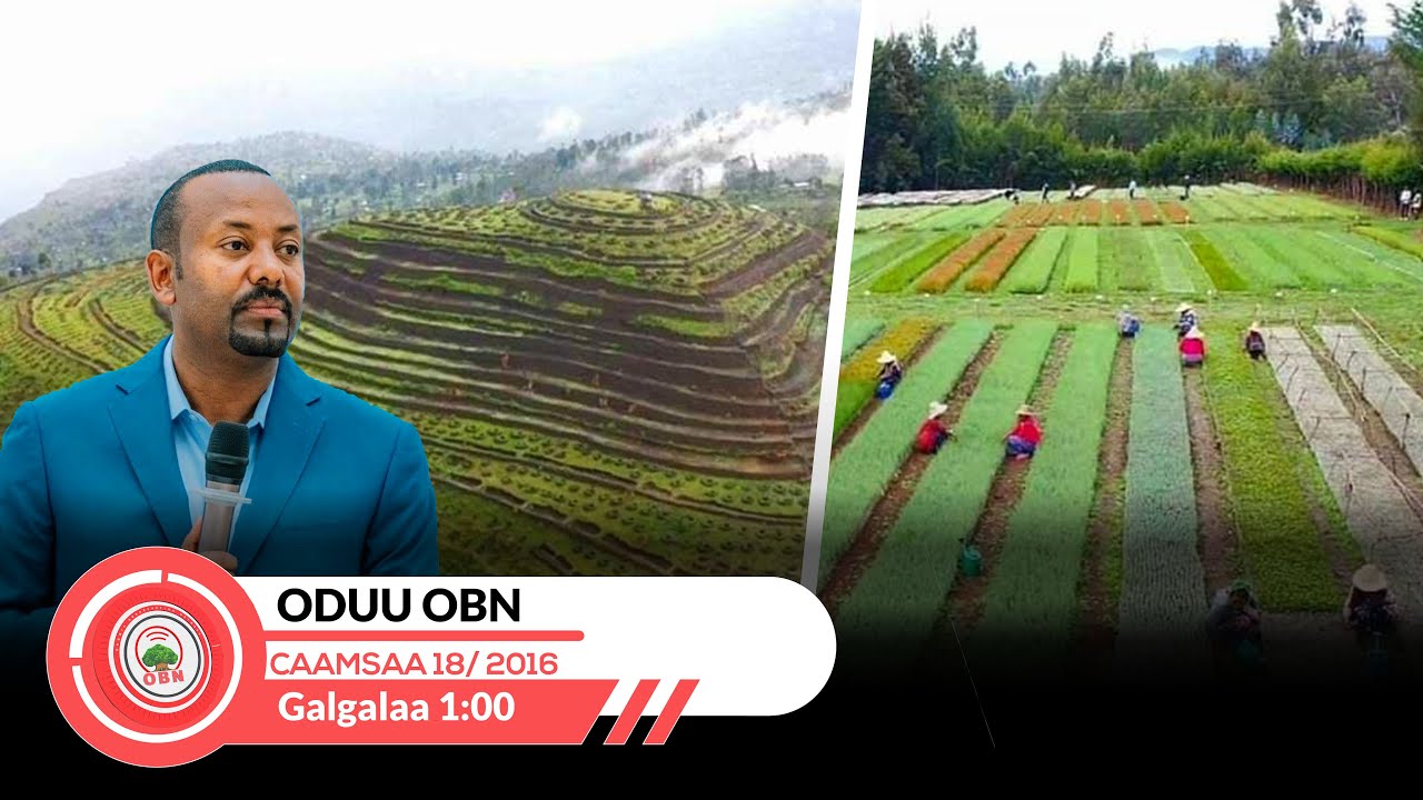 OBN Oduu Dilbata Galgala 18/09/2016