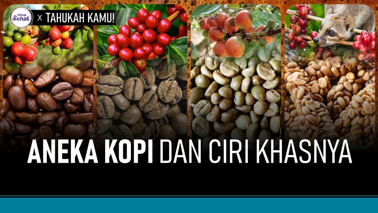 Ragam Jenis Kopi, Ada yang Mirip Buah Nangka! | Hidup Sehat tvOne