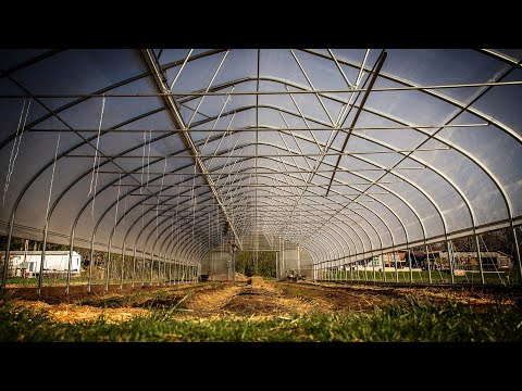Growing opportunity through agriculture