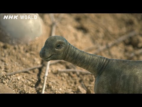 Baby Tambatitanis vs Tyrannosaurus - DINOSAURS