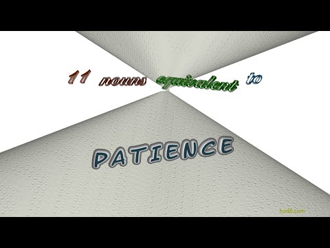 patience - 11 nouns having the meaning of patience (sentence examples)