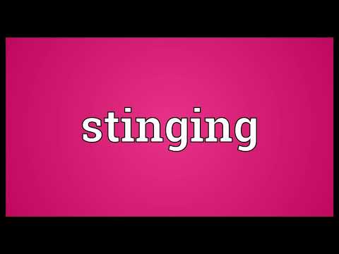 Stinging Meaning