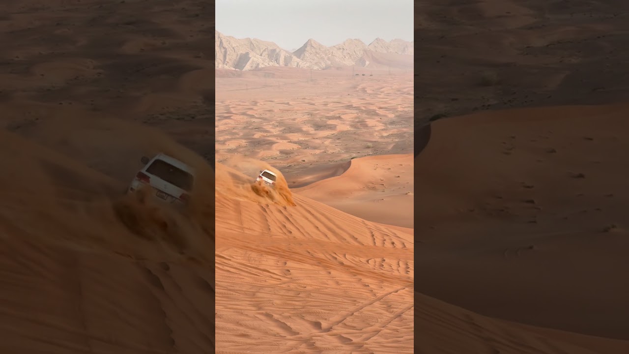 Evening Desert Safari Tour With BBQ Dinner at My Dubai Tours