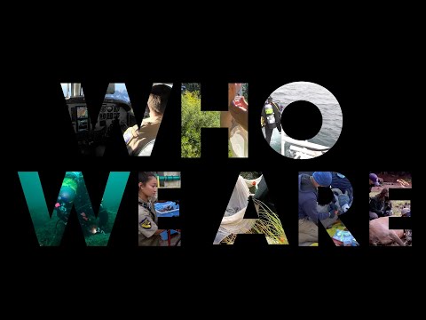 Who We Are