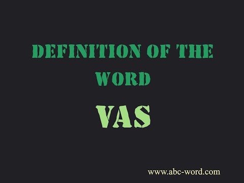Definition of the word "Vas"