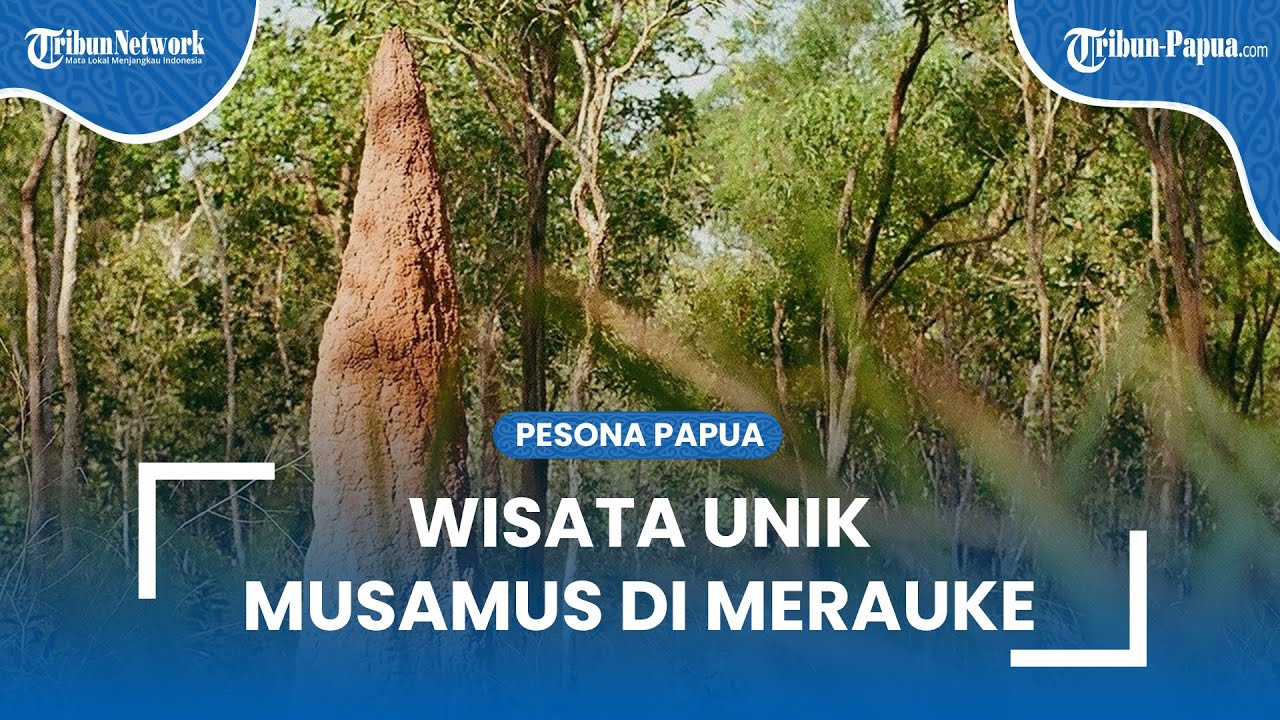 Wisata Unik Musamus 'Sarang Semut' di Merauke Papua, Ada Filosofi ...