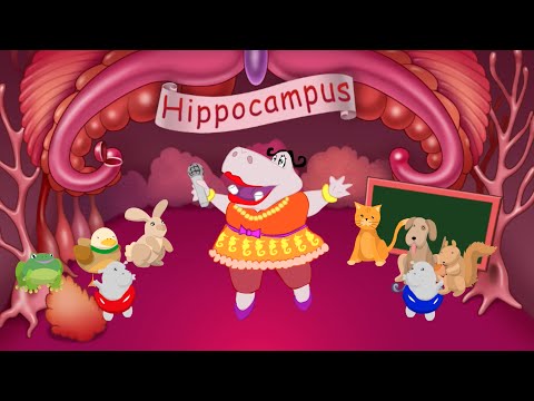 Brain Song for Kids: Hippocampus Hip Hop Teaches Kids How Memory Works