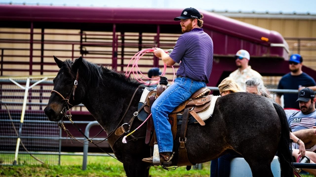 What is a TEAM ROPING number?