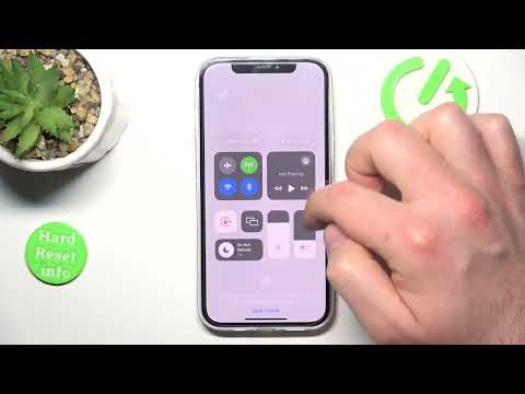 How to Check Data Usage on iPhone?