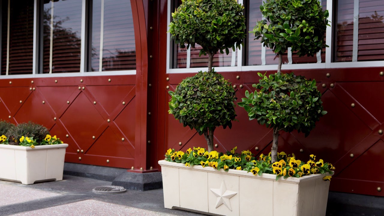 Unique, Bold, and Refreshing | Jackson Cast Stone