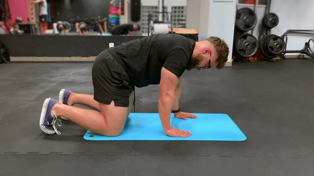 Quadruped Spinal Flexion [short]