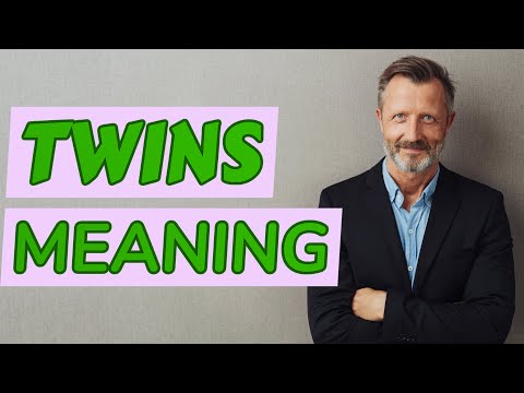 Twins | Meaning of twins 📖 📖 📖 📖