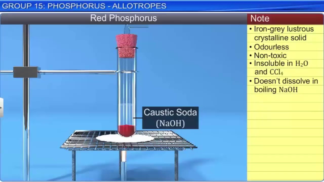 Understanding the p Block Elements: A Deep Dive into Phosphorus and Its ...