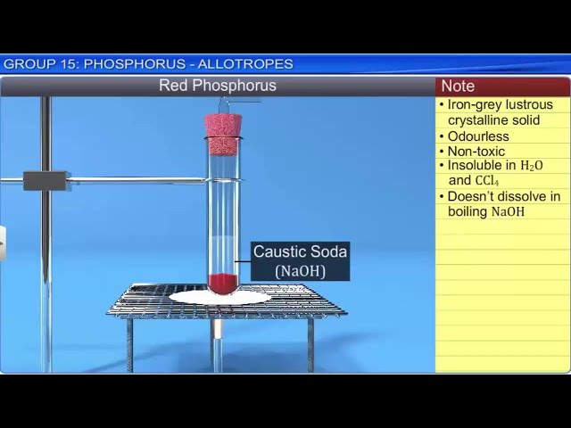 Understanding the p Block Elements: A Deep Dive into Phosphorus and Its Allotropes | Galaxy.ai
