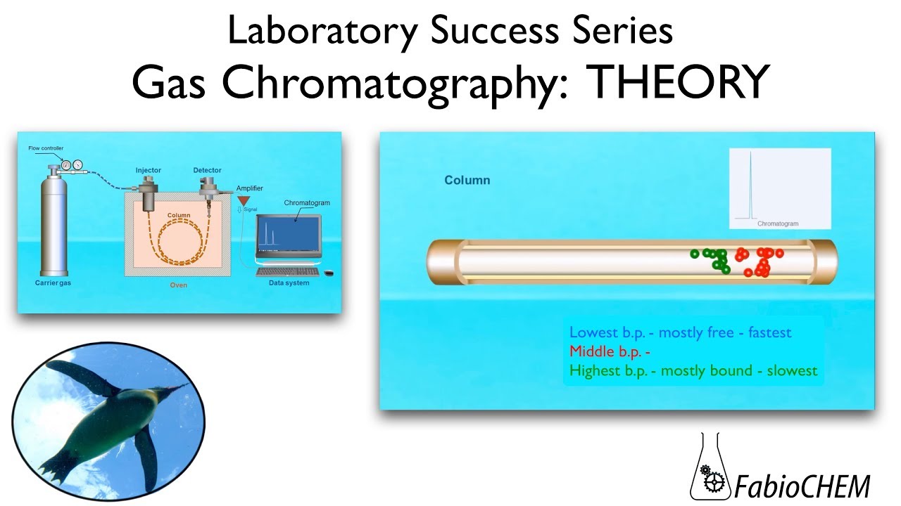 Gas Chromatography THEORY