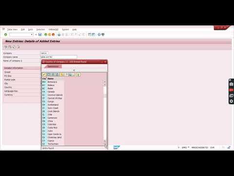 HOW TO DEFINE COMPANY IN SAP ?