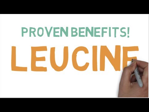 L-LEUCINE BENEFITS - WHAT DOES LEUCINE DO?