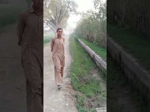 mailsi