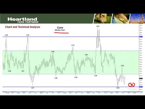 Weekly Corn Chart 8-21-20 | Heartland Farm Partners