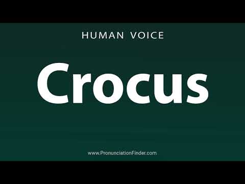 How To Pronounce Crocus