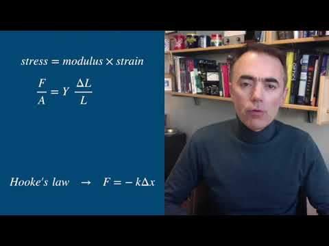 INTRODUCTION TO PHYSICS: elasticity
