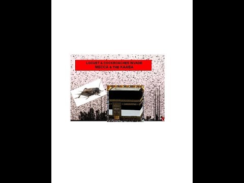 Watch “COCKROACHES & LOCUST INVADE MECCA & THE KAABA IN SAUDI ARABIA ...