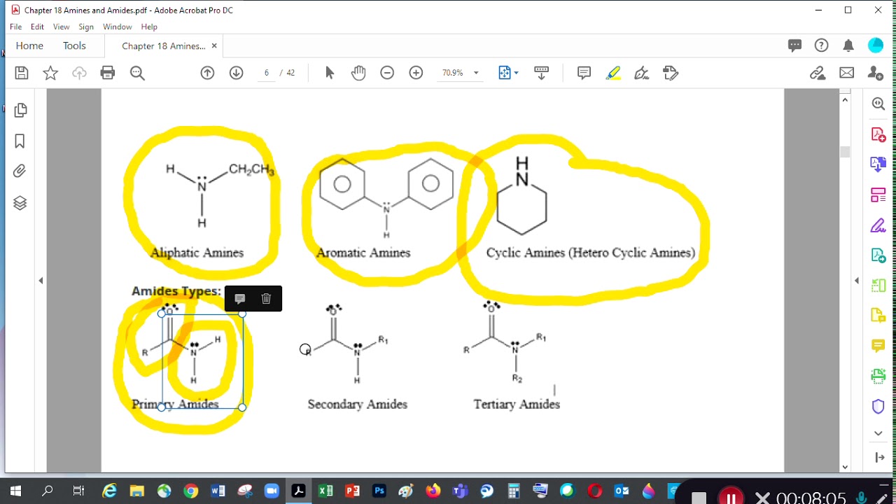 Module 18  Amines and Amides   Part 1