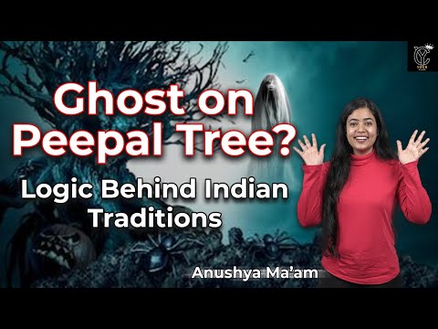 Do ghosts live on Peepal Tree?👻 | YOUR CLASS | Anushya Mam #shorts #ytshorts #facts