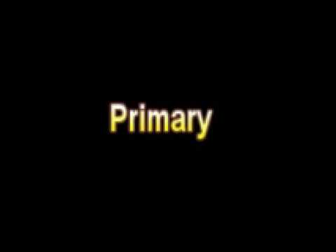 What Is The Definition Of Primary Medical School Terminology Dictionary