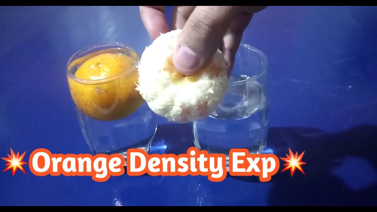 Density Experiment With Oranges / Float or Sink