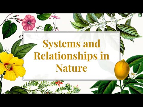 Ed-Venture: Systems and Relationships in Nature