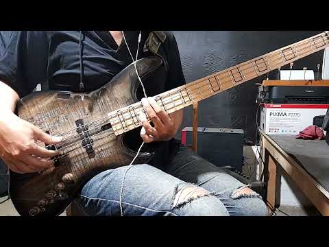 Zeline Bass JB Model Handmade 2022 | Reverb Australia