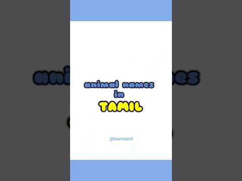 learn tamil with venkatesan #learntamil