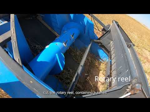 SBAR Guar Harvesting Combine In Action