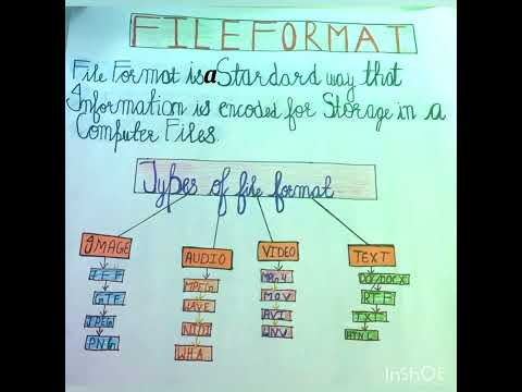 #File Format