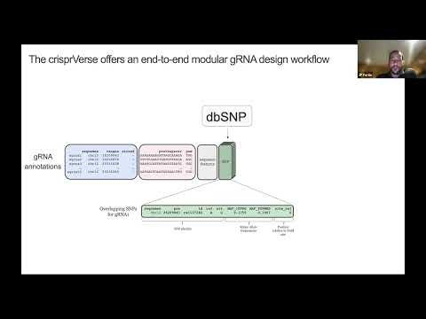 CRISPRverse Ecosystem of Bioconductor Packages for CRISPR Guide RNA Design and Annotation