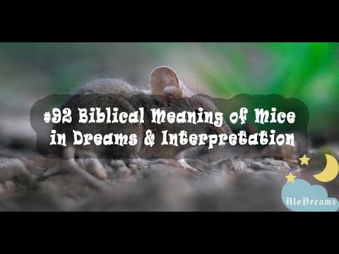 #35 Biblical Meaning of Mice in Dreams and Interpretation