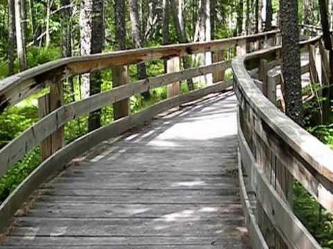 Part 2, Hike to Mud Pond in the Pondicherry Wildlife Refuge, Jefferson, NH