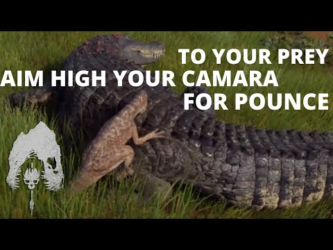 Keep RMB to pounce with Utah Raptor in the correct direction