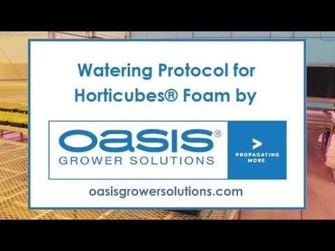 OASIS® Horticubes® Watering Protocol 2020