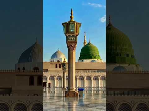 qalbi Fil Madinah
