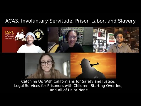 ACA3, Involuntary Servitude, Prison Labor, and Slavery | Catching Up With...