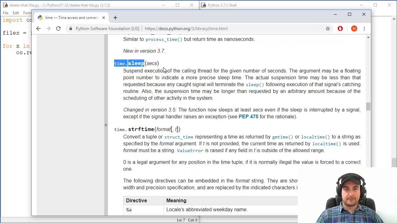 How To Pause Execution of Program in Python - time.sleep() Example