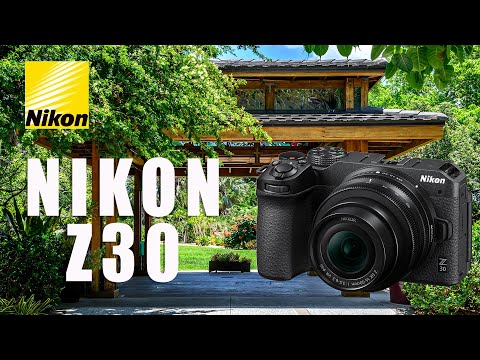 Nikon Z30: Exceeds expectations (1749)