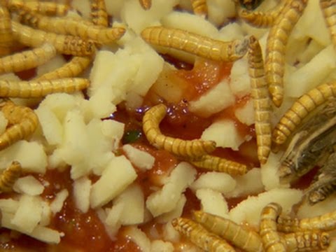 Belgian restaurant tops pizza with insects