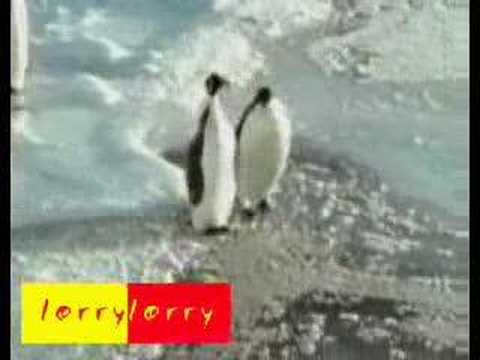 Pingouin